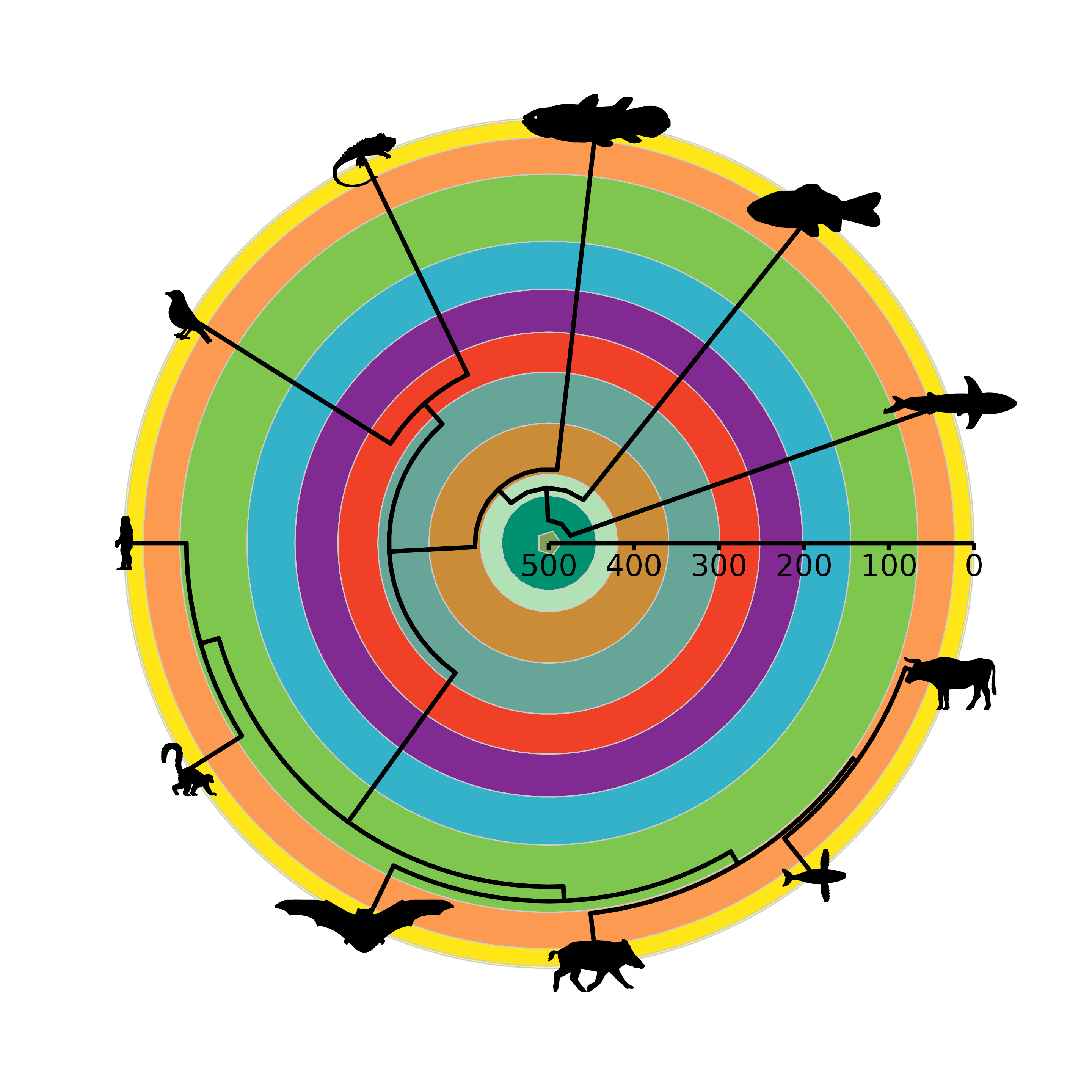 Advanced examples in ggplot • rphylopic